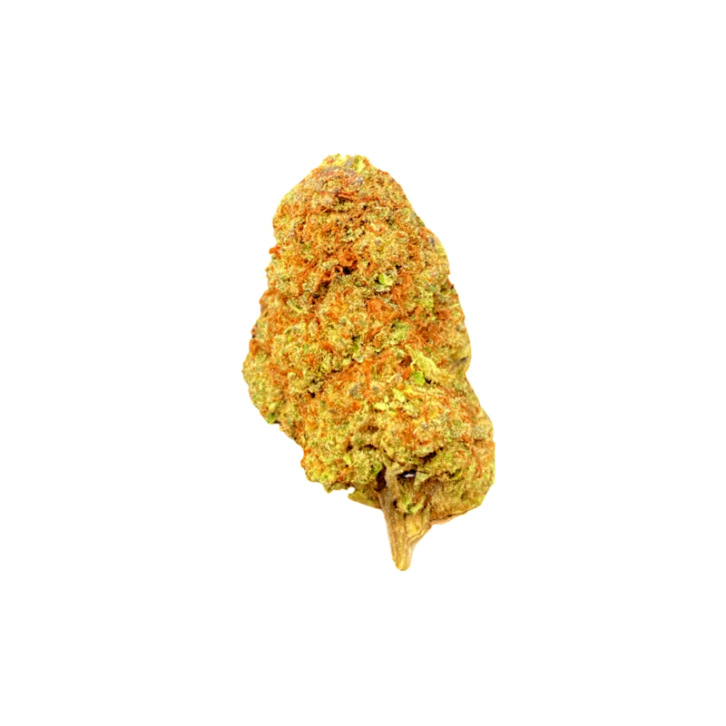 Premium Sex Panther Indica