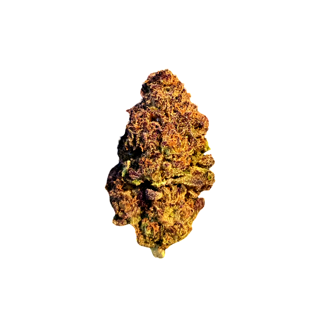 Premium Island Haze Sativa premium-island-haze-sativa
