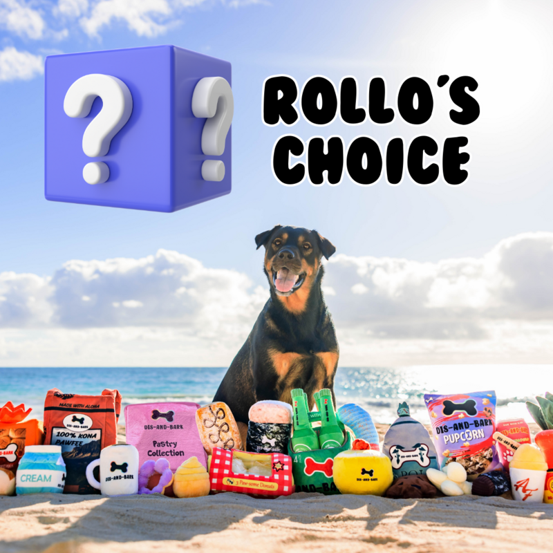 Shop – Dis-and-Bark