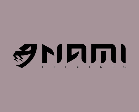 NAMI Electric Spare Parts