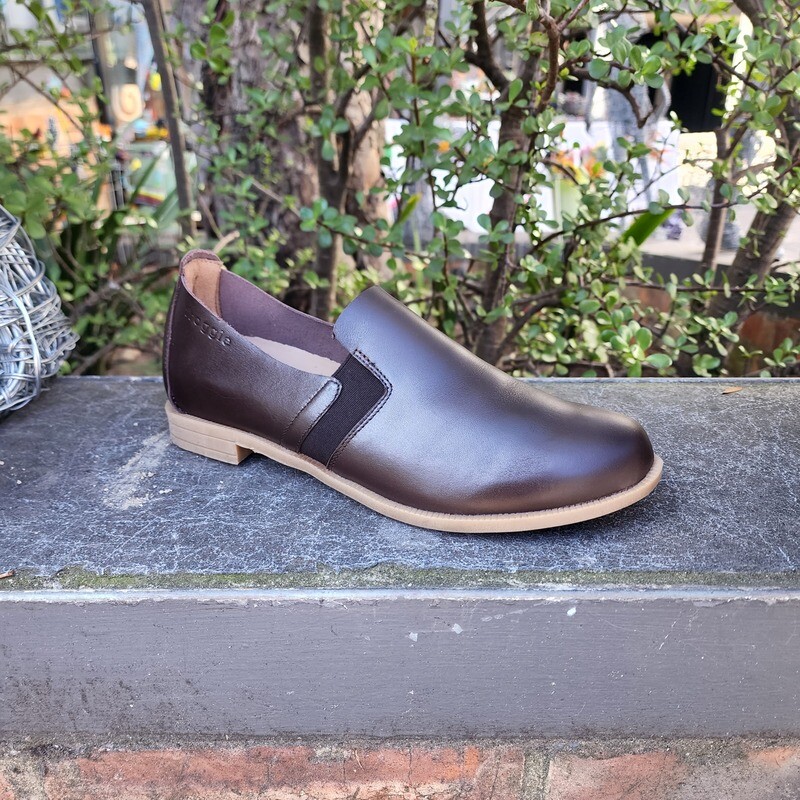 Froggies - Home - Wild-Iris