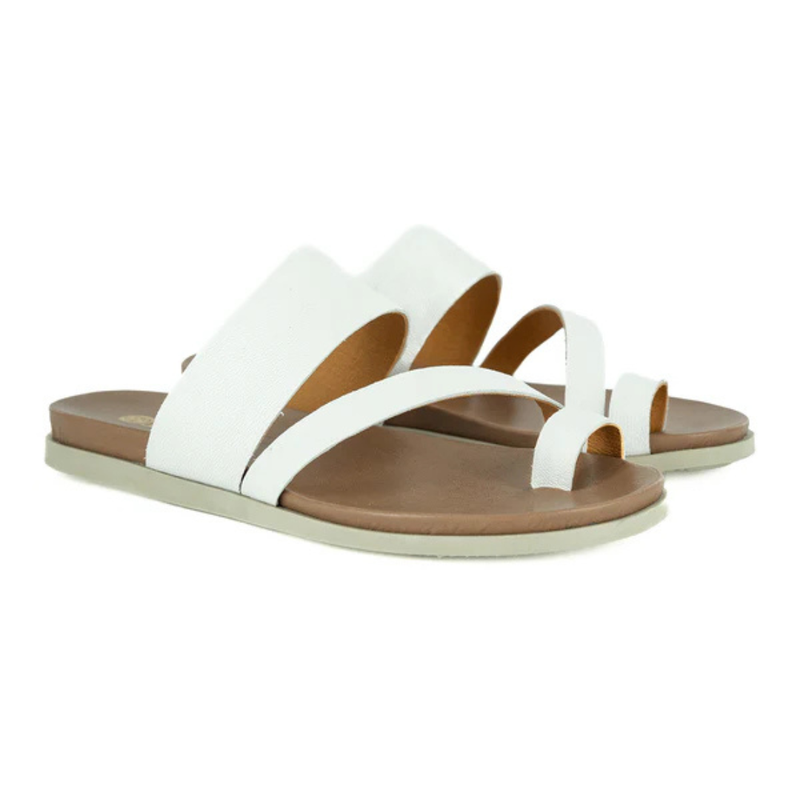 Tsonga - Home - Wild-Iris