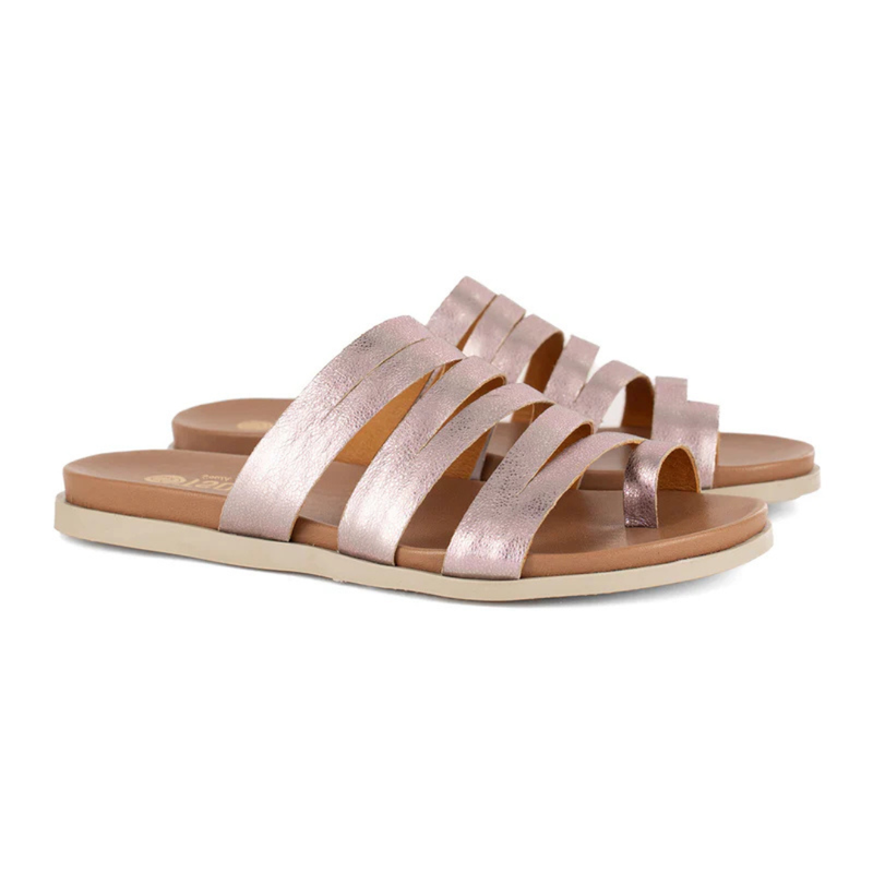 Tsonga - Home - Wild-Iris