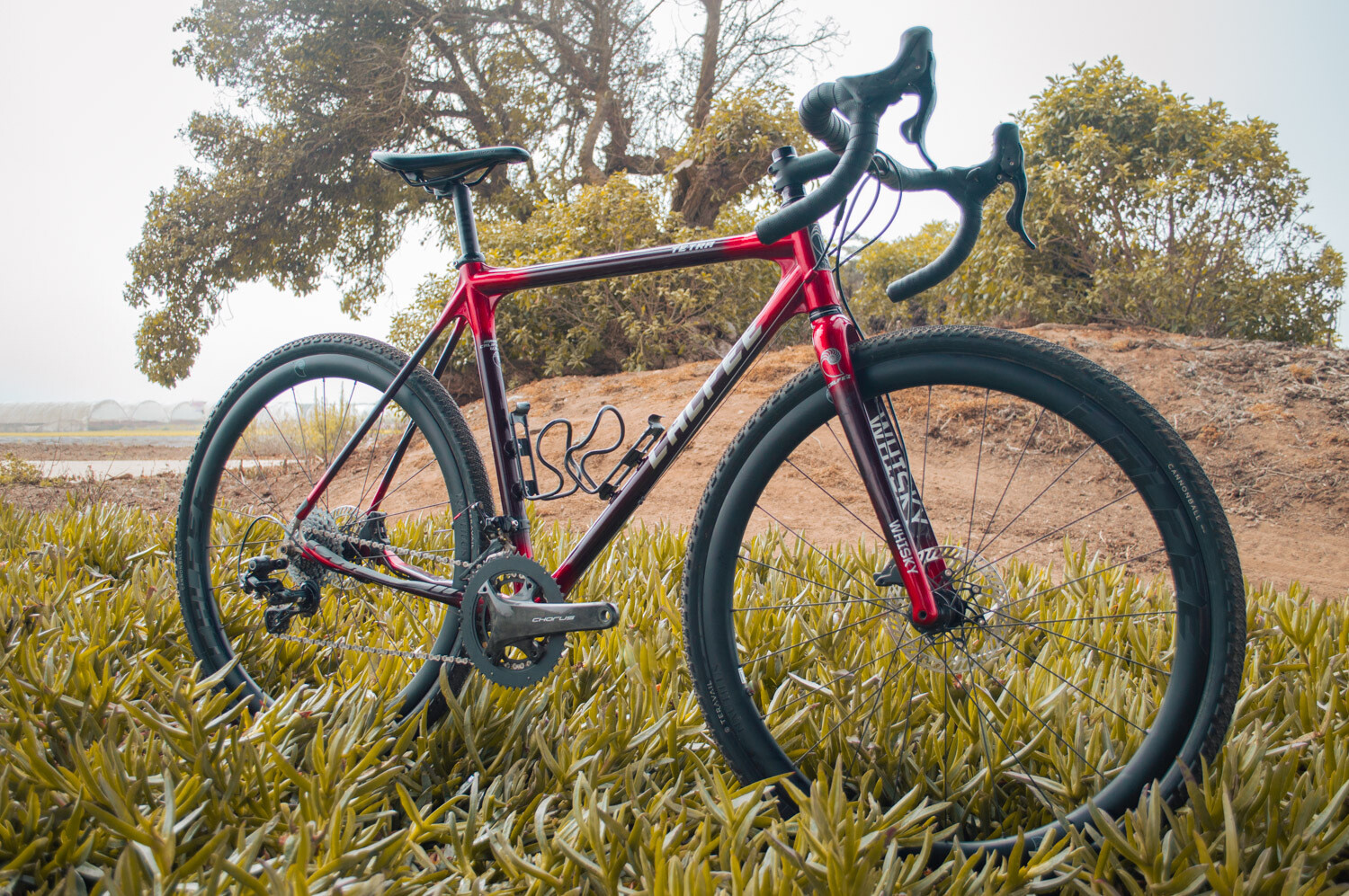 Store - Calfee Design