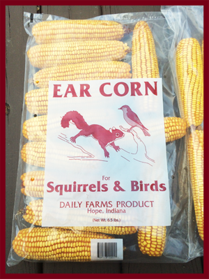 40 lb Bulk (no bags) case of ear corn – Daily Family Farms – Enjoy the ...