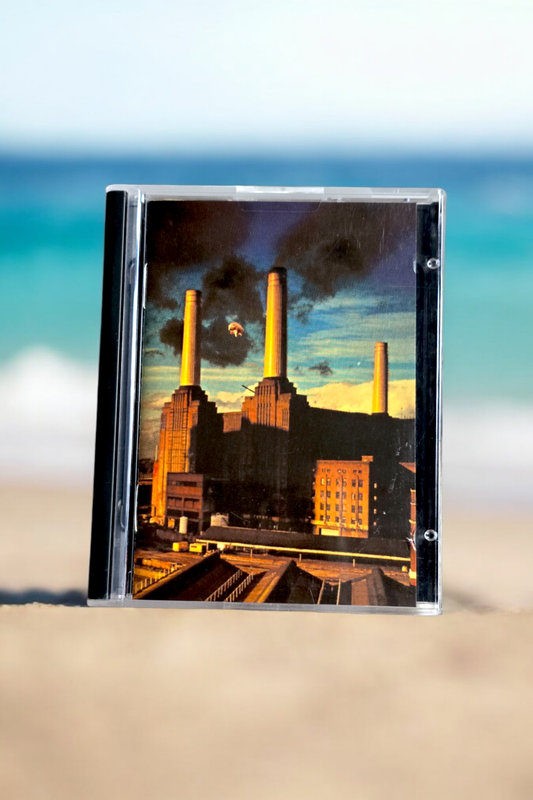 Pre-recorded Discs and More