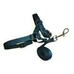 Halters, Leads, Collars & Restraints