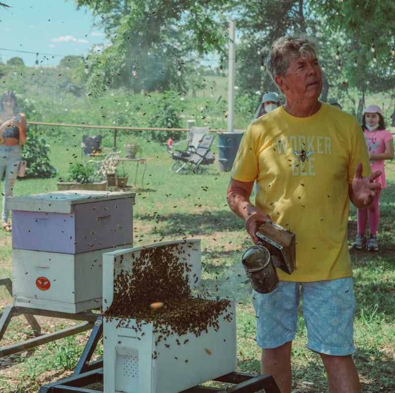Queens & Bees – Store – BeeWeaver Honey Farm