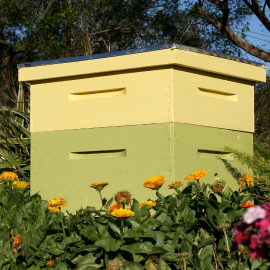 Store – BeeWeaver Honey Farm