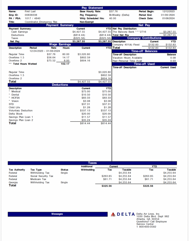 Paystub Editable Template - Delta | Documentplug