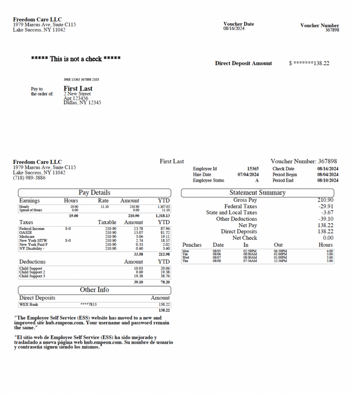 Paystub Editable Template - Freedom Care Health | Documentplug