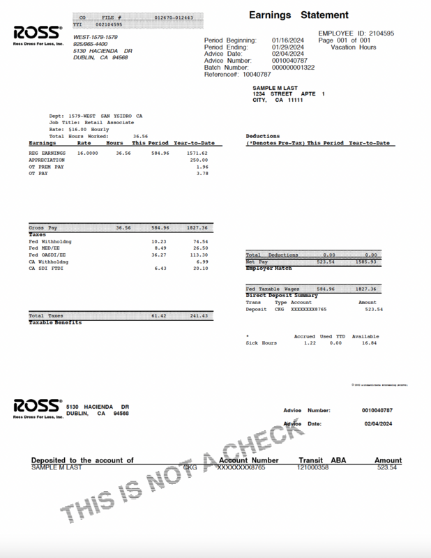 Paystub Editable Template - Ross | Documentplug