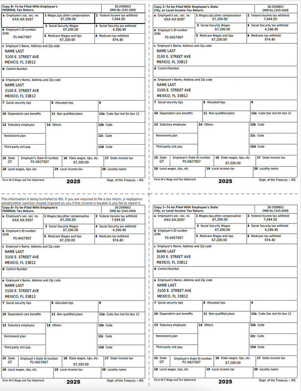 W2 Form Editable Template - 2025 Year | Documentplug