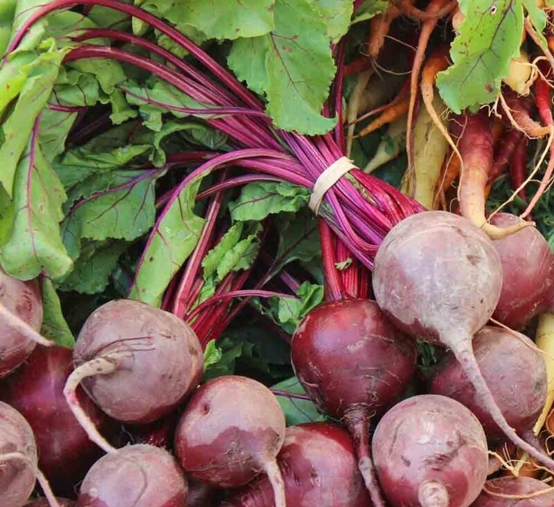 Lutz Winter Keeper Beet Seeds