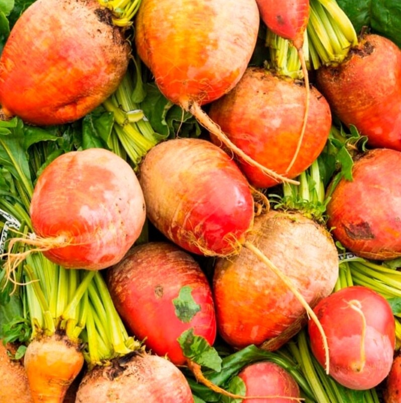 Touchstone Gold Beet Seeds