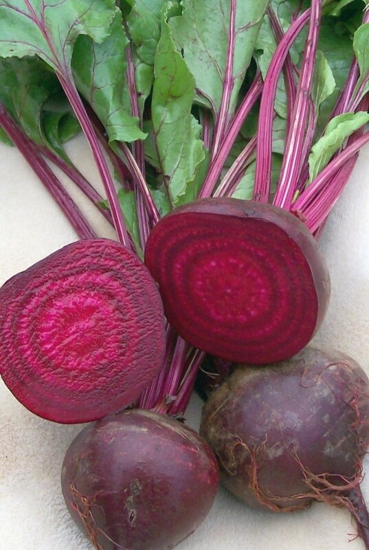 Crosby's Egyptian Beet Seeds