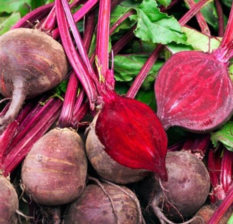 Detroit Red Beet Seeds