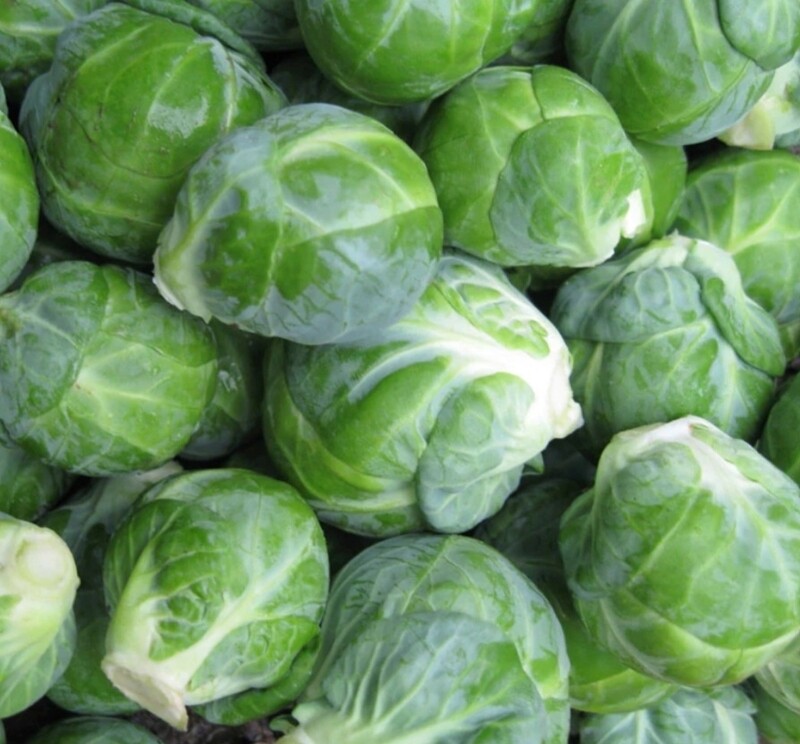 Brussel Sprouts
