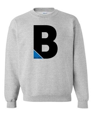 Store – BASIC College Ministries