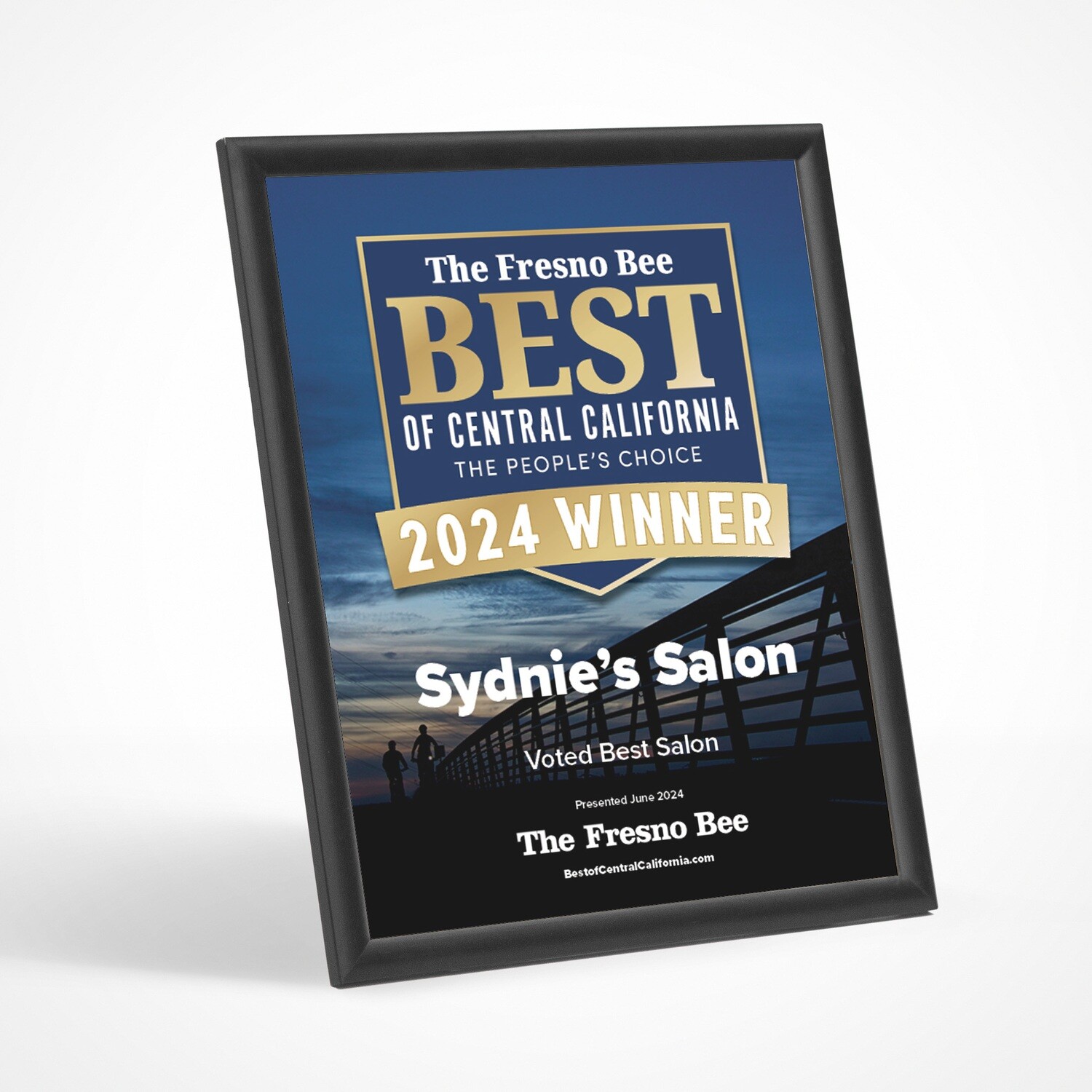 Winner's Modern Plaque