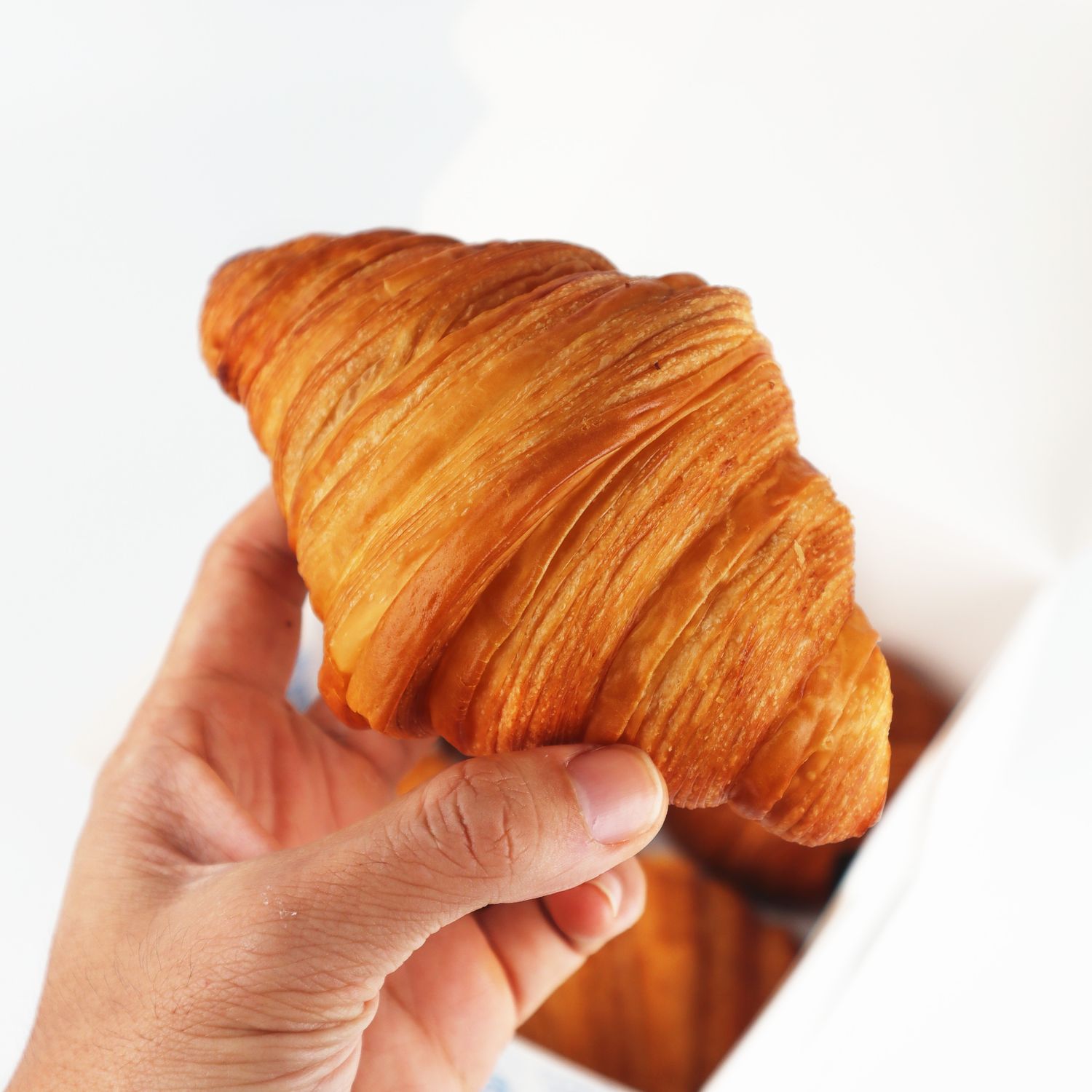 Pastry Croissant Box (Build your own box)