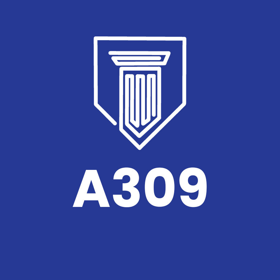 A309 Inspiration of the Bible