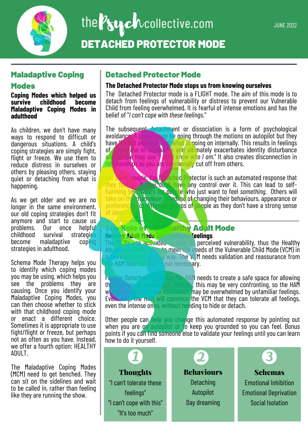 Detached Protector Mode