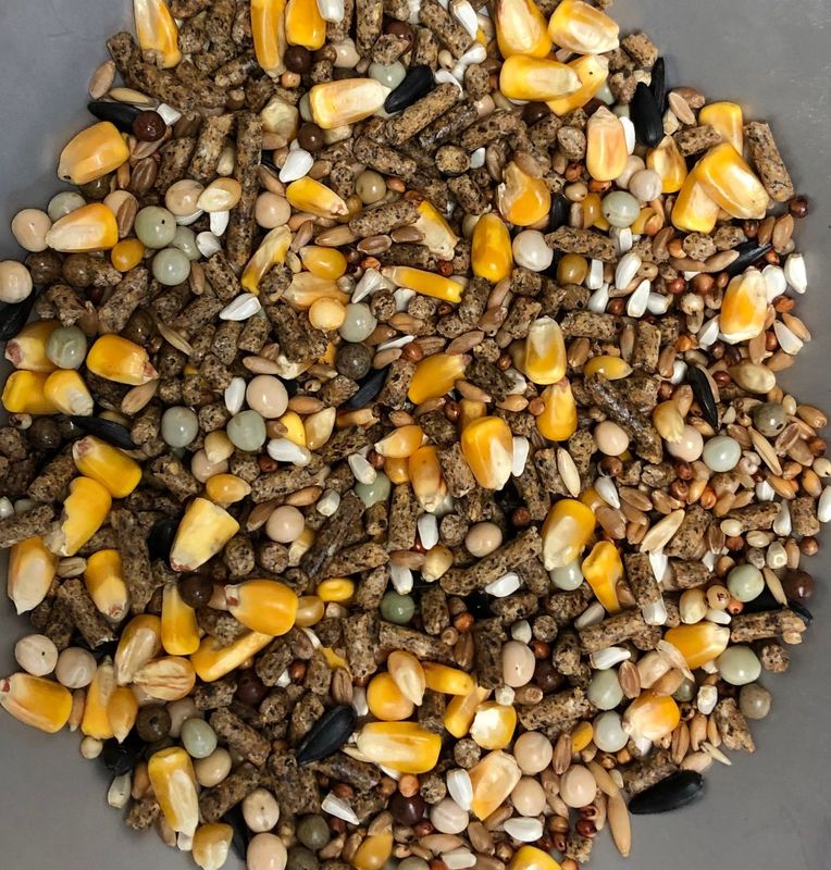 POULTRY GAMEFOWL FEED