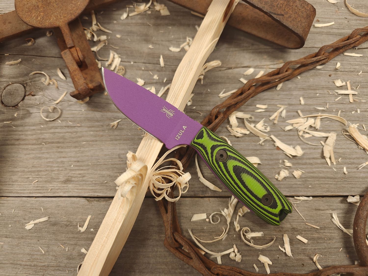 ESEE Knives Izula 2.63" Fixed Blade / Green and Black G10 / Purple ...