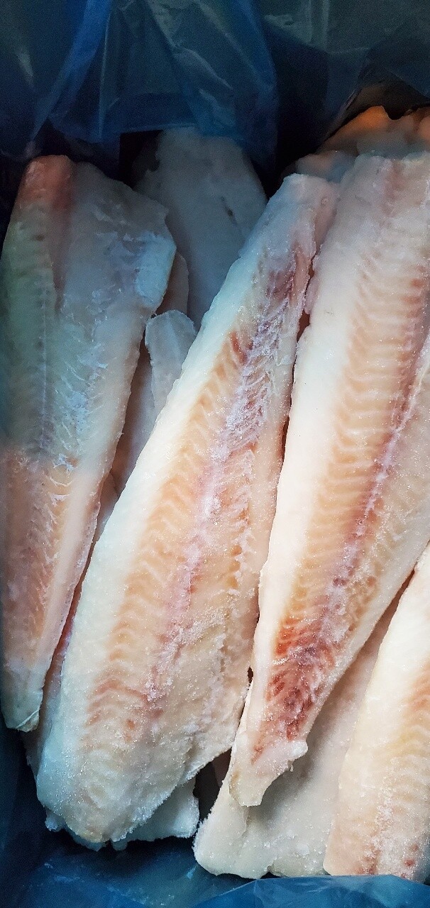 Pollock Fillets