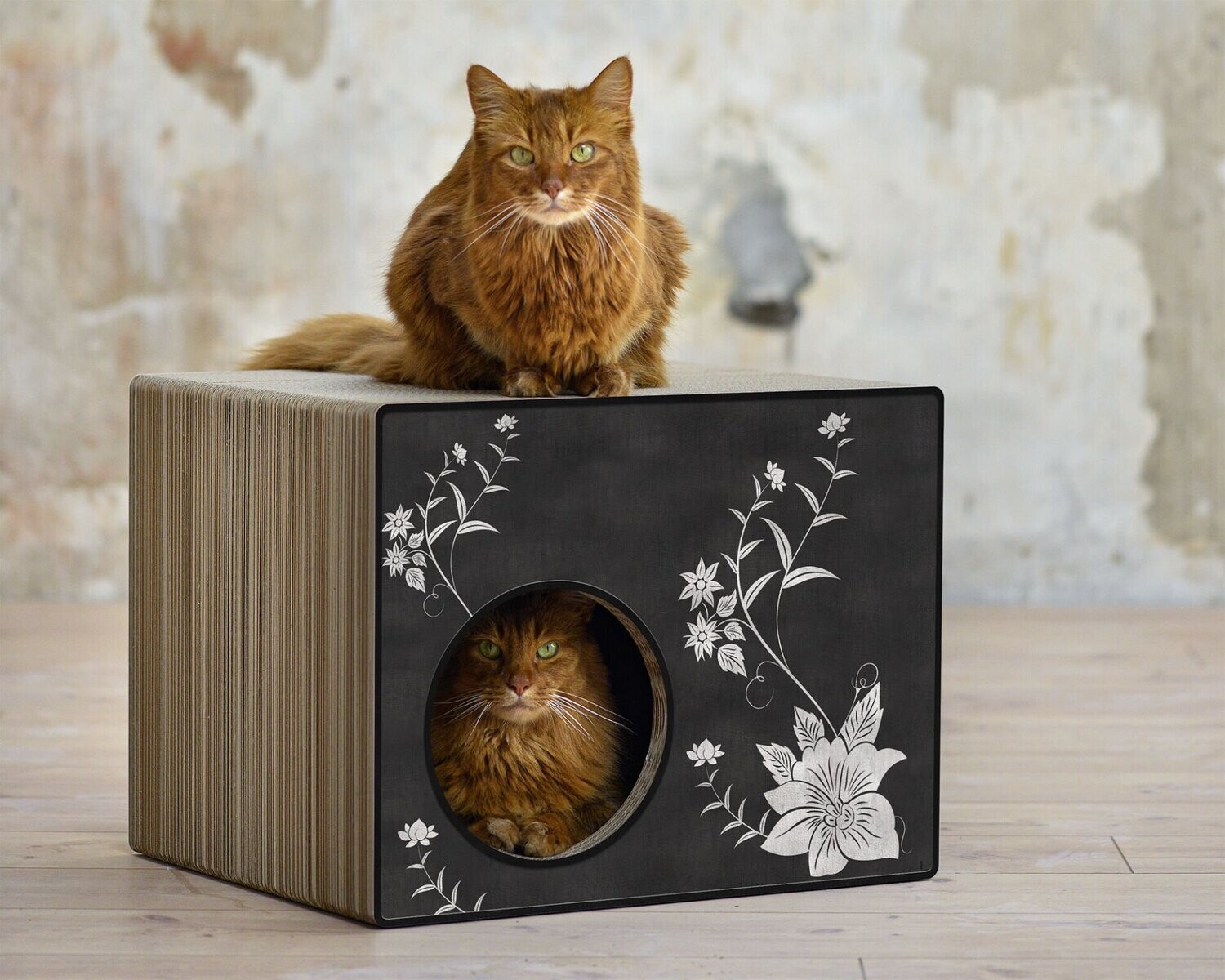 Phredia Eckhaus CAT-ON Modernes Design Kratzmoebel
