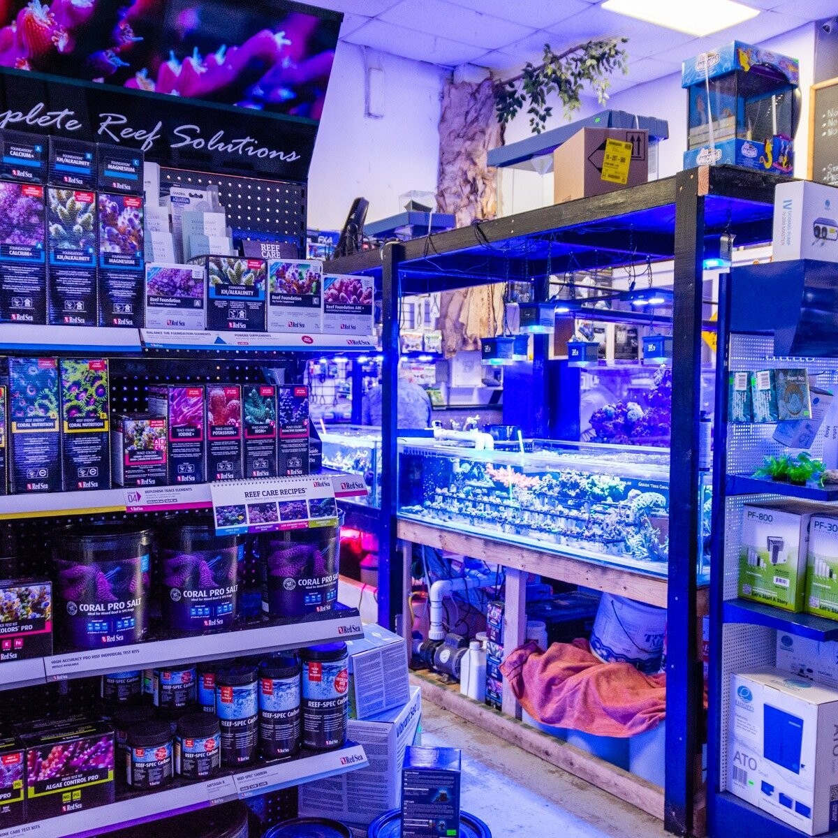 Fish Supplies (All products)