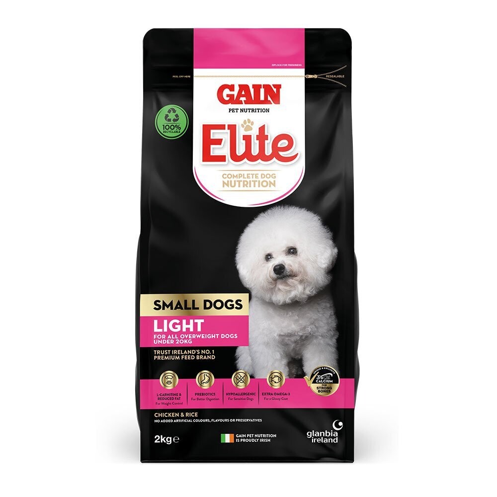 Are Dogs Sensitive To Light