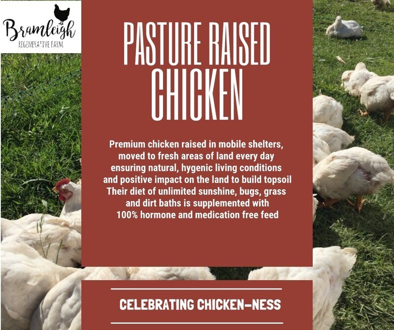 Pasture Raised Chicken