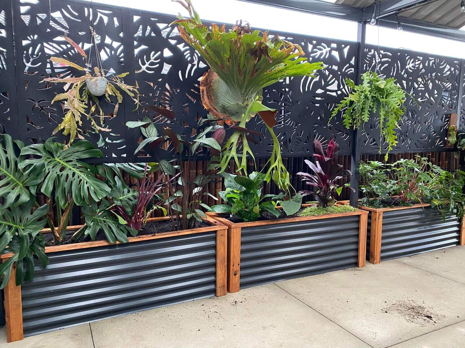 Plant-It Boxes