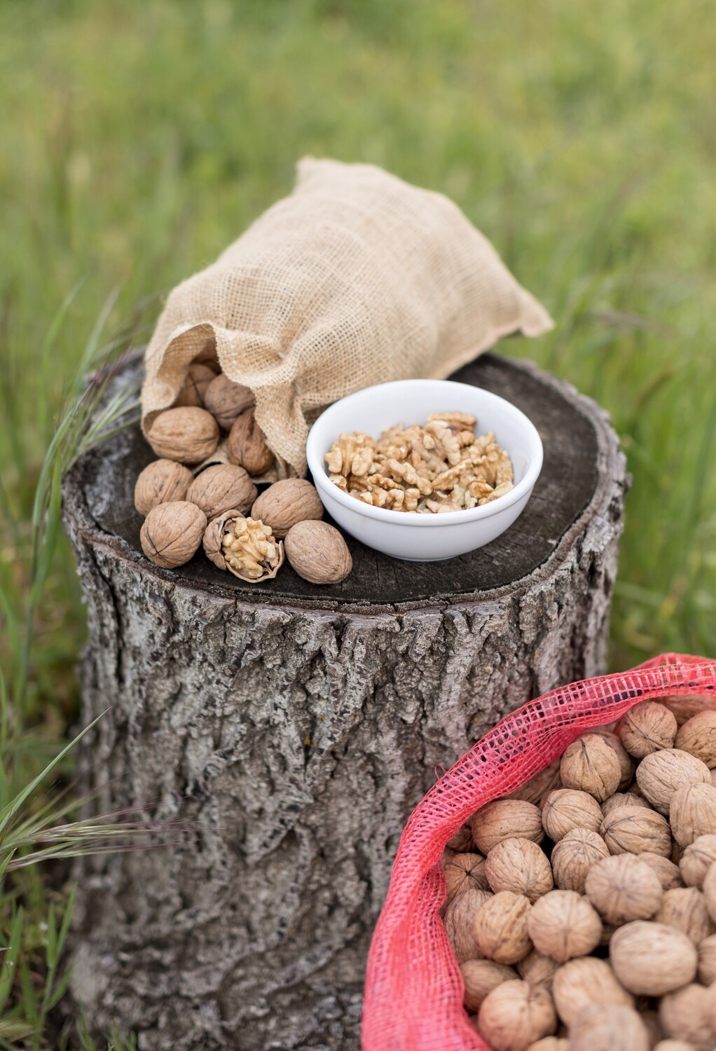 San Francisco In-Shell Walnuts | Pick-up at The Animal Company SF