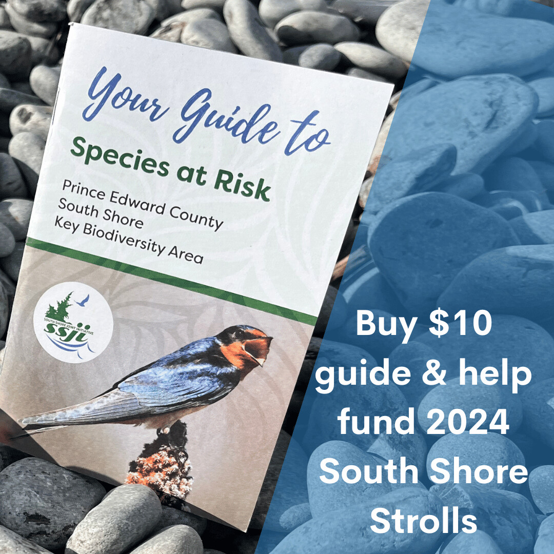 Your Guide to Species at Risk - South Shore Joint Initiative