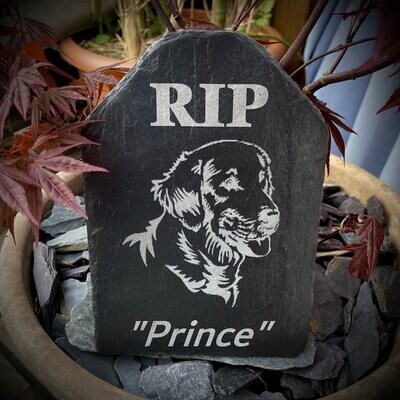 slatecraft4u - Reptile & Aquatic Slate Caves - Handmade and Bespoke