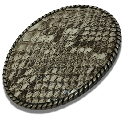 Python Wildman - The Defender of the Everglades | Savin' the Glades one ...