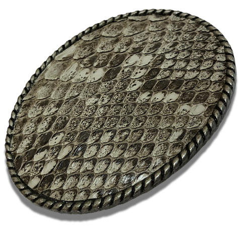 Python Wildman - The Defender of the Everglades | Savin' the Glades one ...