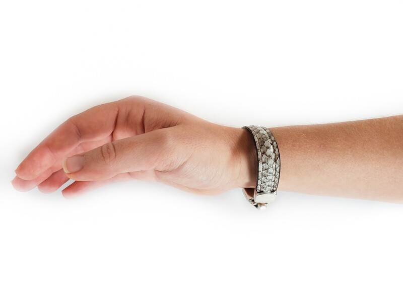 Python Wildman - The Defender of the Everglades | Savin' the Glades one ...