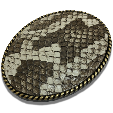 Python Wildman - The Defender of the Everglades | Savin' the Glades one ...