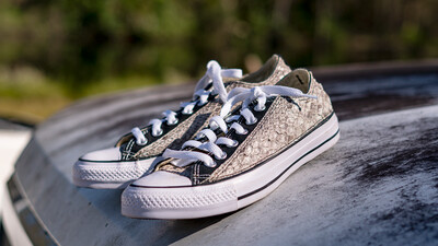 Python Wildman - The Defender of the Everglades | Savin' the Glades one ...