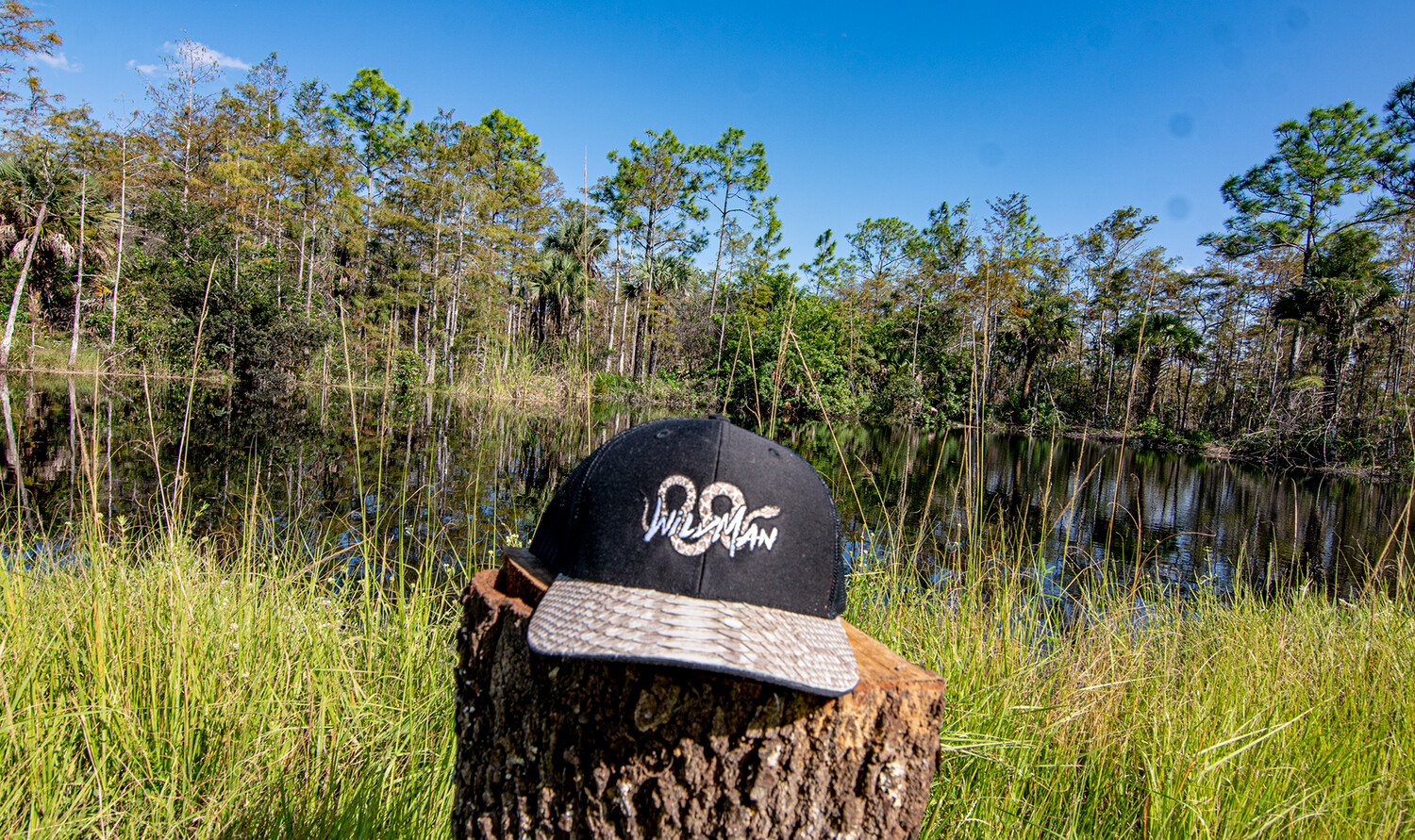 Python Wildman - The Defender of the Everglades | Savin' the Glades one ...