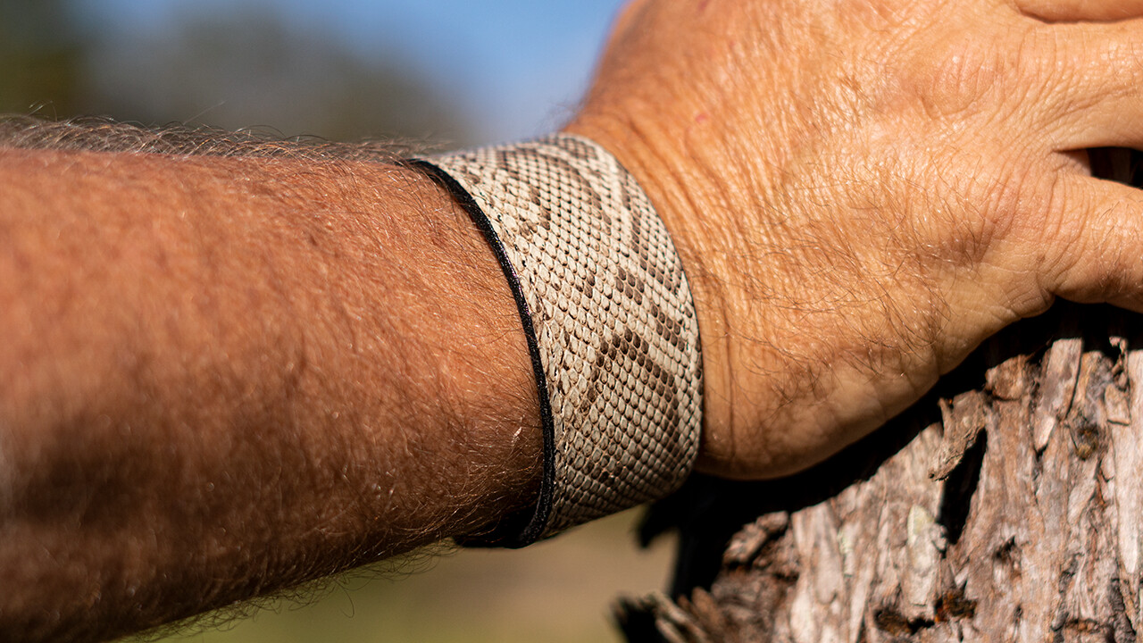 Python Wildman - The Defender of the Everglades | Savin' the Glades one ...
