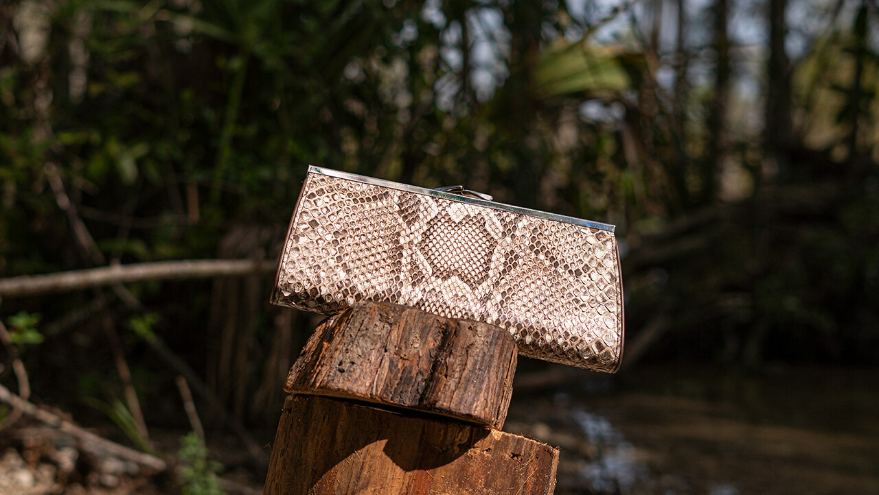 Python Wildman - The Defender of the Everglades | Savin' the Glades one ...