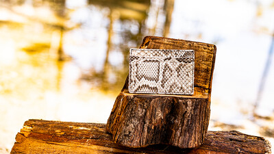 Python Wildman - The Defender of the Everglades | Savin' the Glades one ...