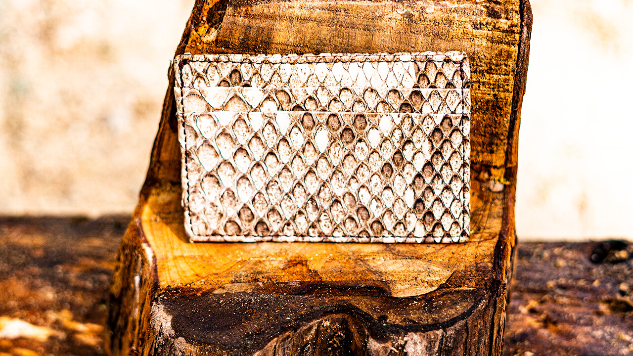 Python Wildman - The Defender of the Everglades | Savin' the Glades one ...