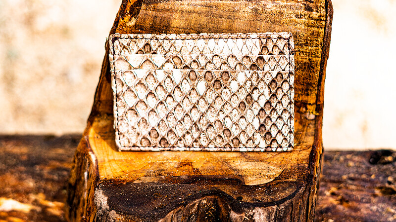 Python Wildman - The Defender of the Everglades | Savin' the Glades one ...