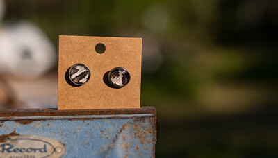 Python Wildman - The Defender of the Everglades | Savin' the Glades one ...